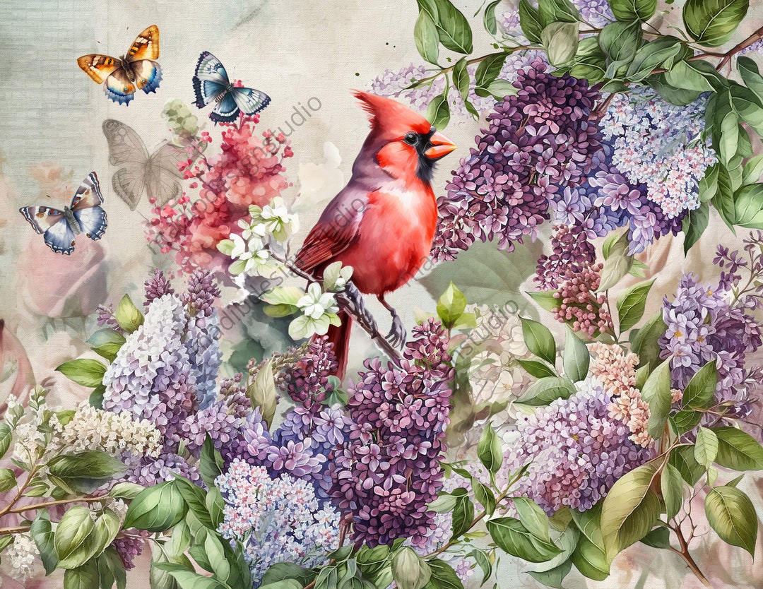 Floral Decoupage Paper Design Birds Rice Paper Design Png - Etsy