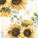 Decoupage Sunflower Clipart, Clipart for Crafters, Sunflower Kitchen ...