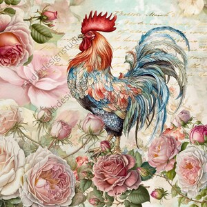 Roosters and Roses Printable, Chickens, Roosters Farm Animals Png ...