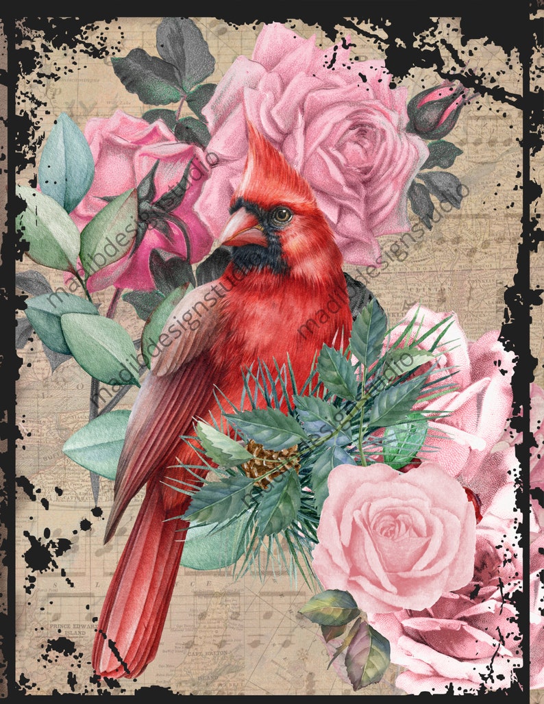 Cardinal Decoupage Paper Printable Red Bird Png Cardinal and - Etsy