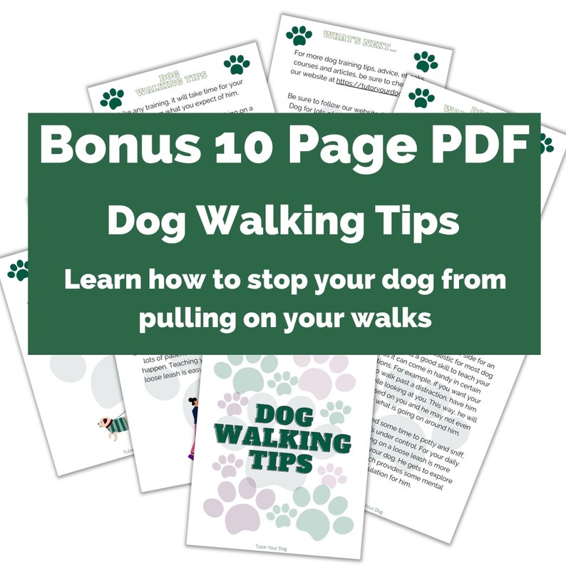 Printable Dog Walking Log | Dog Walking Schedule | Pet Walking Tracker ...