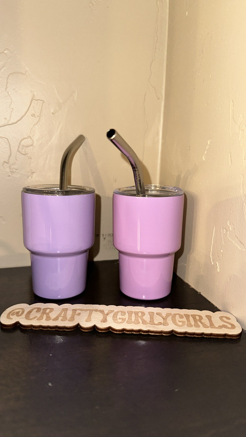 3oz Mini Stanley Shot Glass With Straw and Lid. Plain or - Etsy