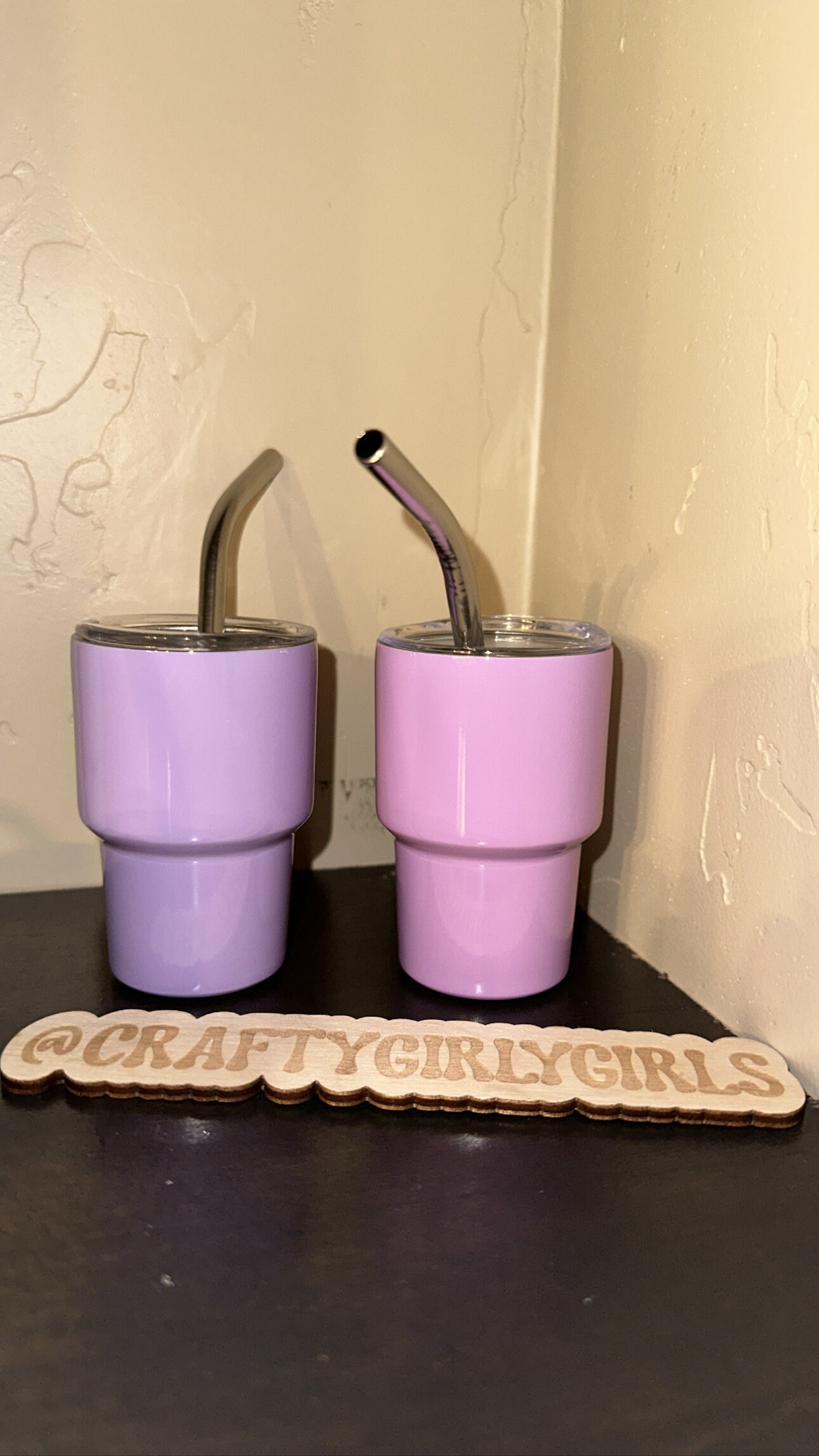 3oz Mini Stanley Shot Glass With Straw and Lid. Plain or - Etsy