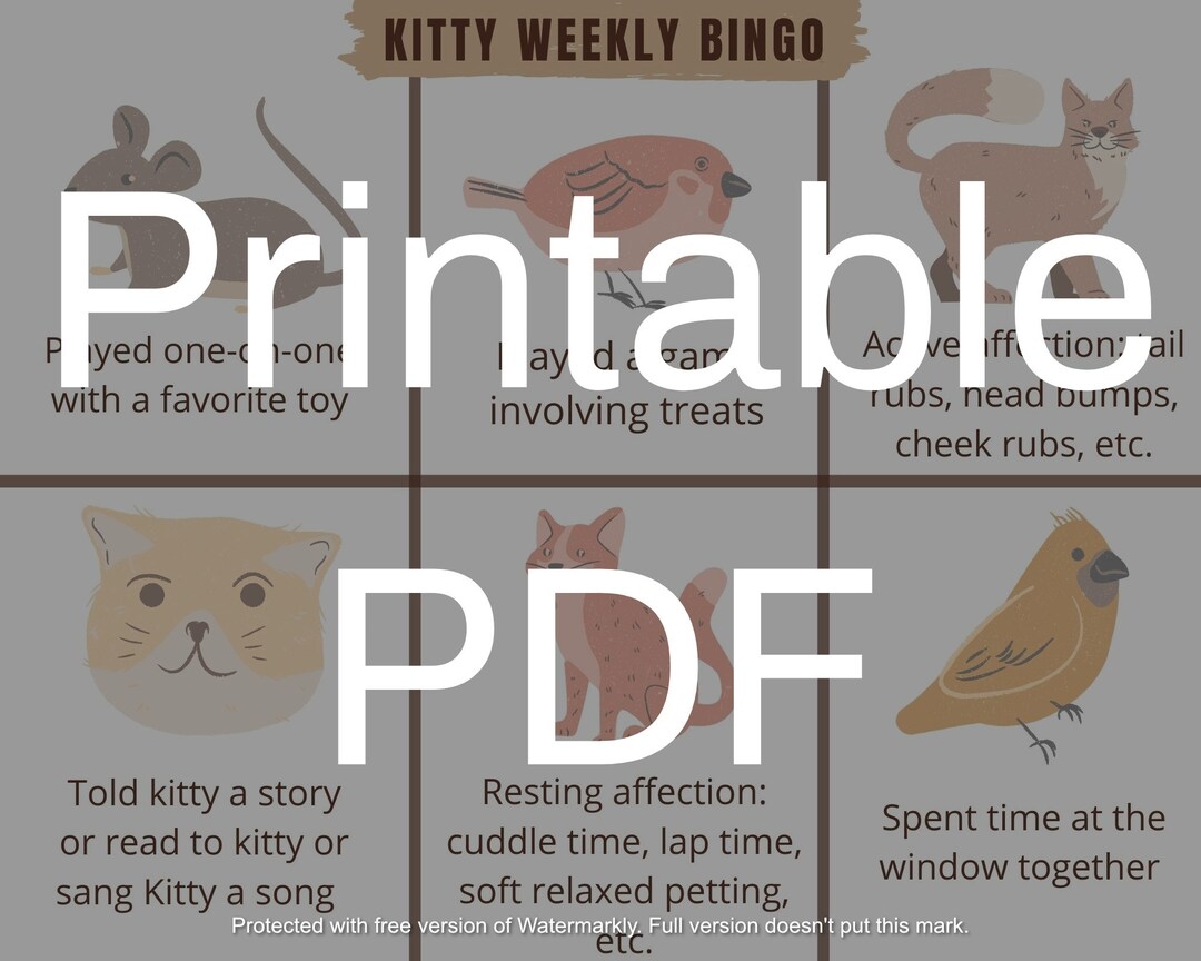 Kitty Bonding Bingo Game! - Etsy