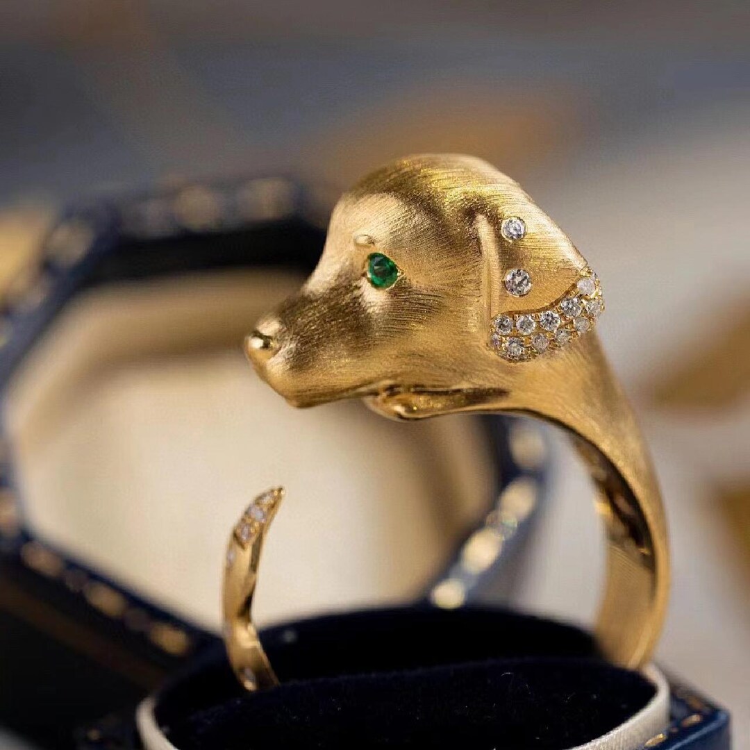 Custom Pet Memorial Ring, Solid Gold Ring, Pet Photo Ring, Pet Keepsake ...