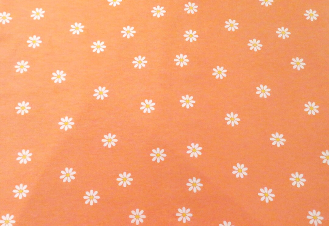 Daisy Fabric, Beautiful Flower Fabric, Super Snuggle Fabric, Floral ...