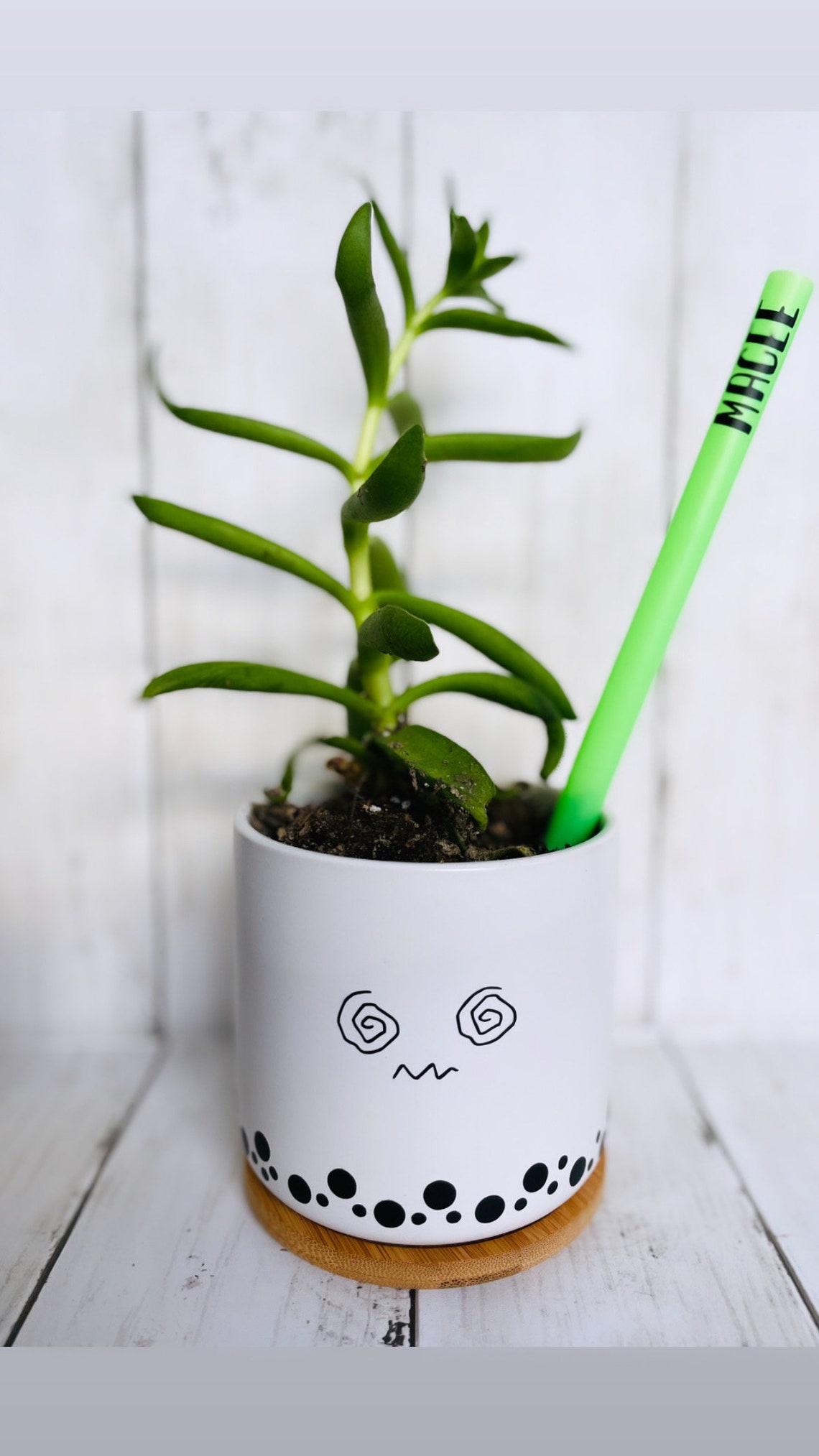 Boba Tea Plant Pot small pencil holder Succulent/Flower Pot | Etsy