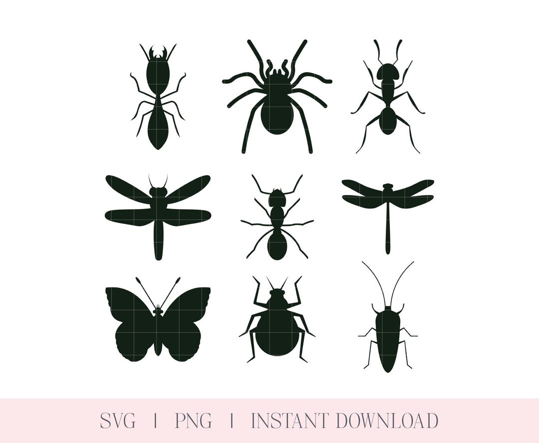 Insect SVG: Creepy Crawlies Cut Files - Halloween Spider, Butterfly ...
