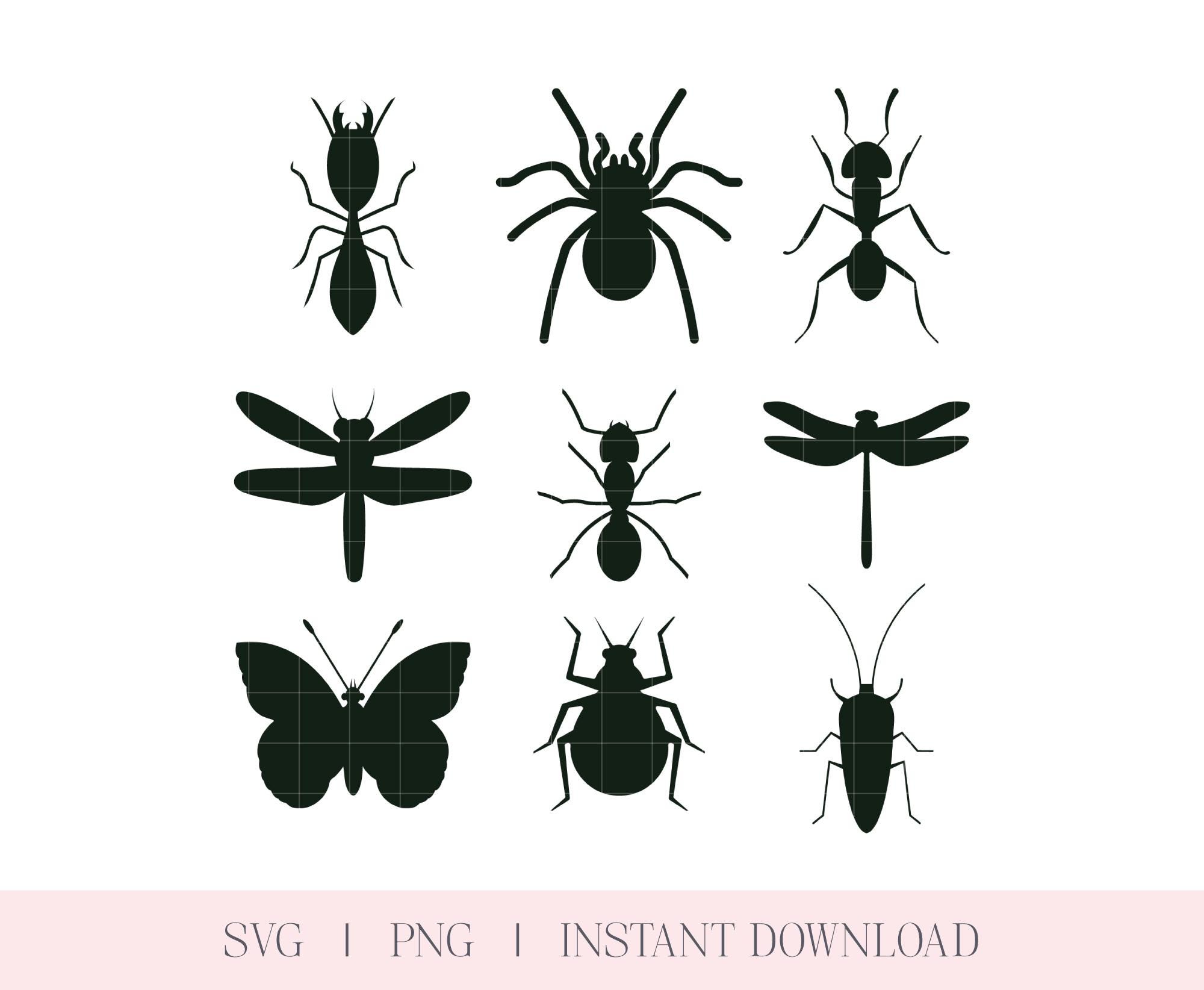 Insect SVG: Creepy Crawlies Cut Files - Halloween Spider, Butterfly ...