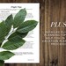 Vacation Flying Planner / Travel Planning Template / Travel Guide ...