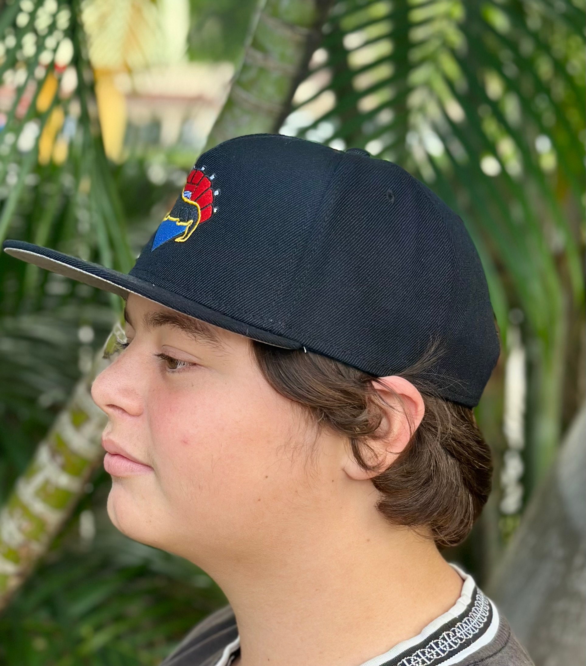 Ribs and Whiskey Wool Baseball Cap - Etsy