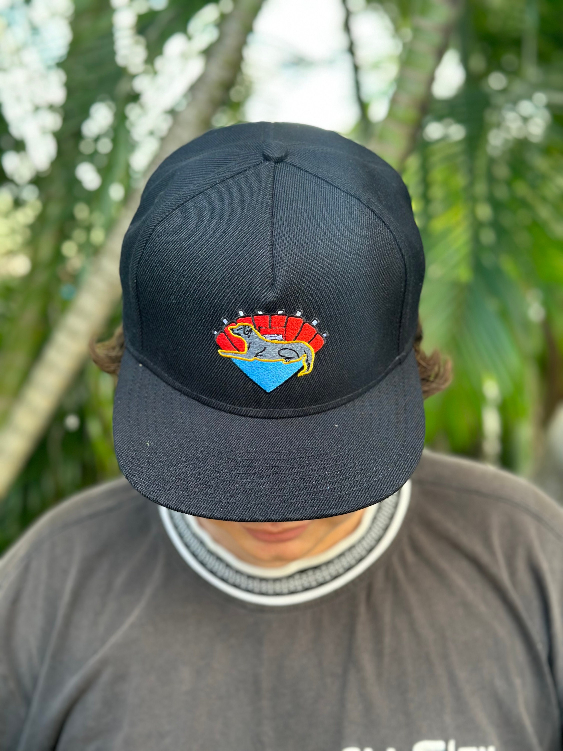 Ribs and Whiskey Wool Baseball Cap - Etsy