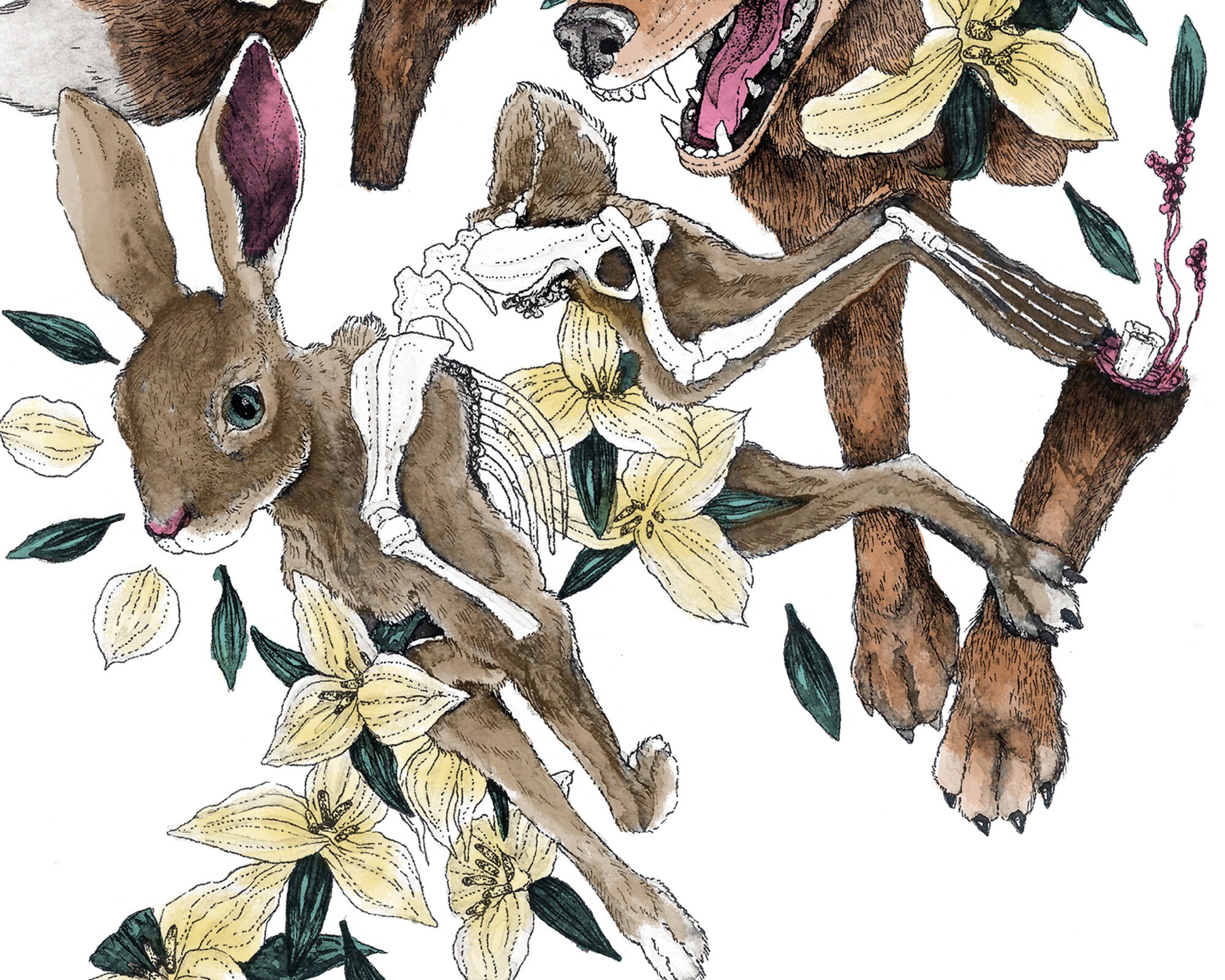 Fox and Rabbit Chase Pacific Northwest Wildlife Cascades, Art Print - Etsy