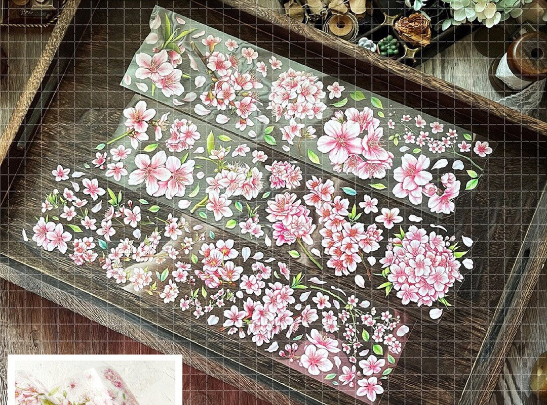Backinstock XYTT Cherry Blossom Season | One Loop Sample/roll PET Tape ...