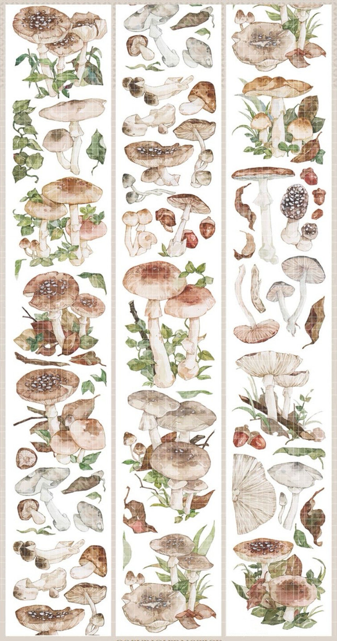 XQT Mushrooms | One Loop Sample or Roll PET Tape | Mushroom Stickers ...