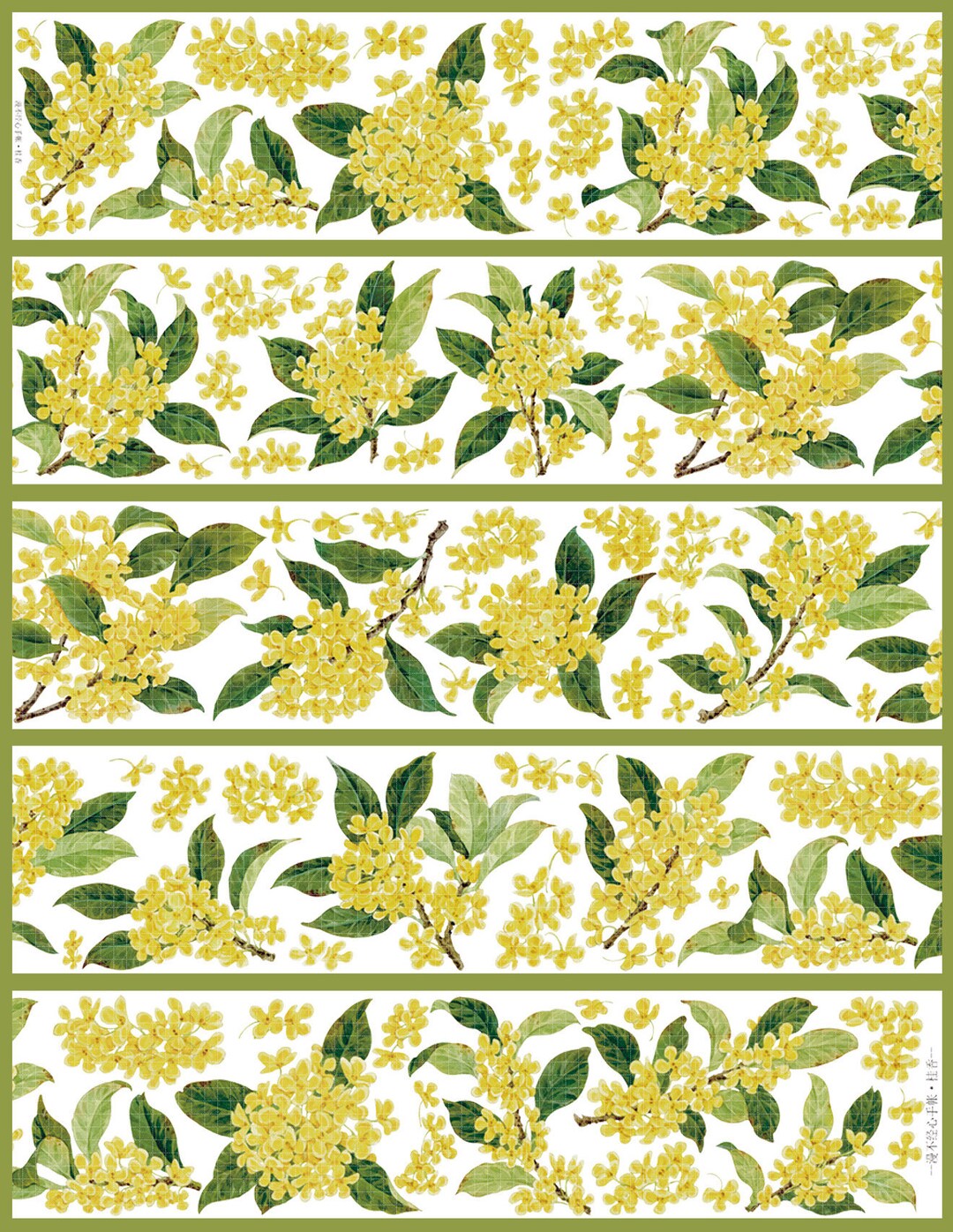 MBJX Osmanthus Fragrance | One Loop Sample or Roll PET Tape | Flower ...