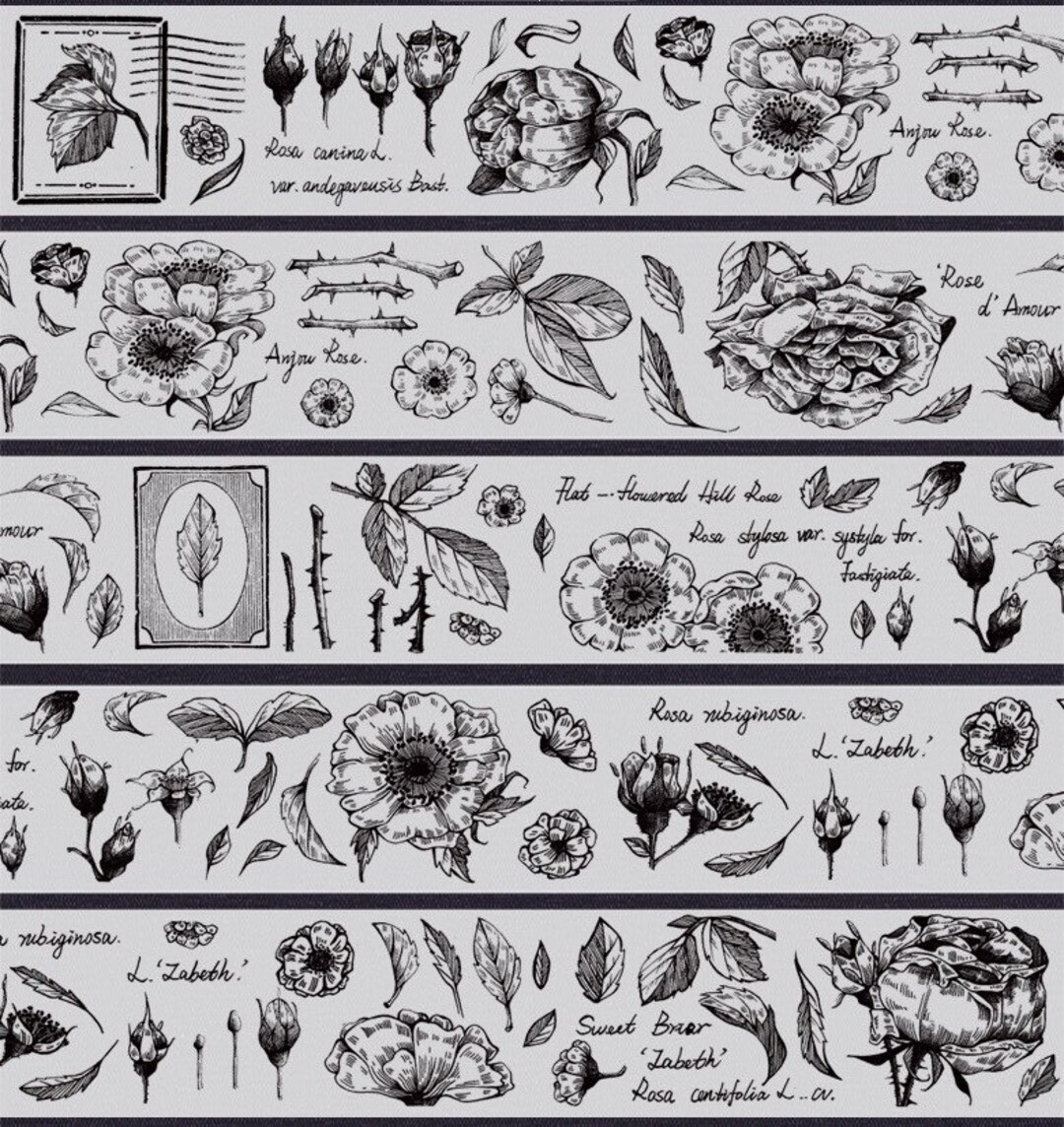 Trista Plant Imprint Black | One Loop Sample PET Tape | Plant Stickers ...