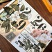 Yier Studio Vintage Flowers | One Loop Sample PET Tape | Flower ...