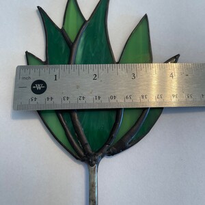 Stained Glass Agave, Stained Glass Succulent plant Only - Etsy