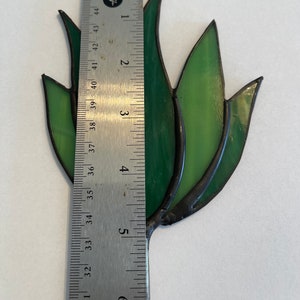 Stained Glass Agave, Stained Glass Succulent plant Only - Etsy