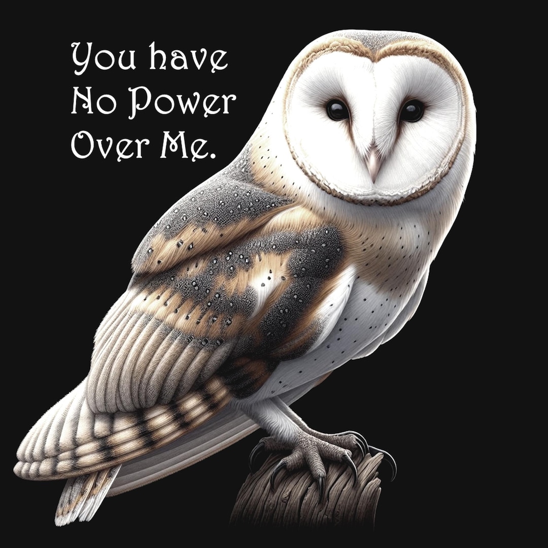Labyrinth Owl Eyeglass Cleaning Cloth- With the Quote, “you Have No ...
