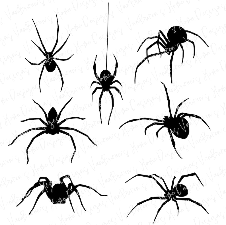 Halloween Spider Svg Bundle Spider Svg Files Cricut - Etsy
