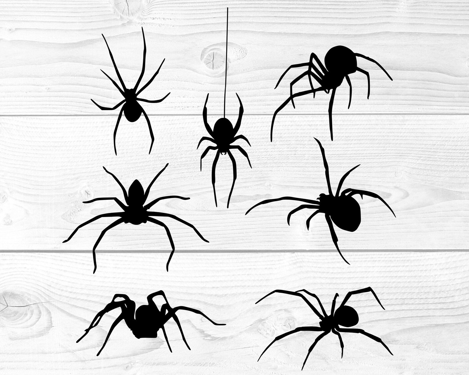Halloween Spider Svg Bundle Spider Svg Files Cricut - Etsy