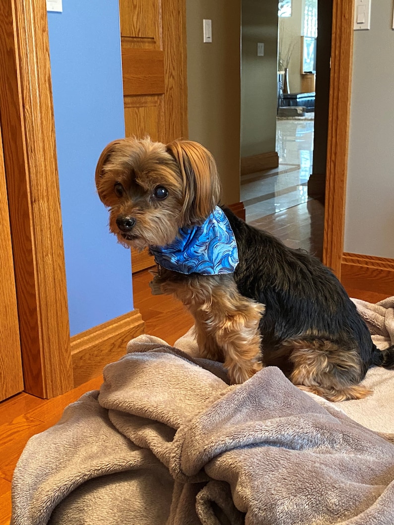 Personalized 3D Printed Wax Warmers - Etsy