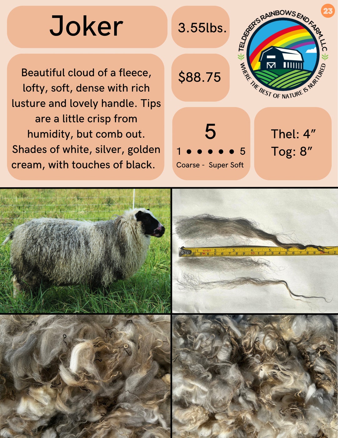 Joker Fall 2023 Fleece lamb - Etsy