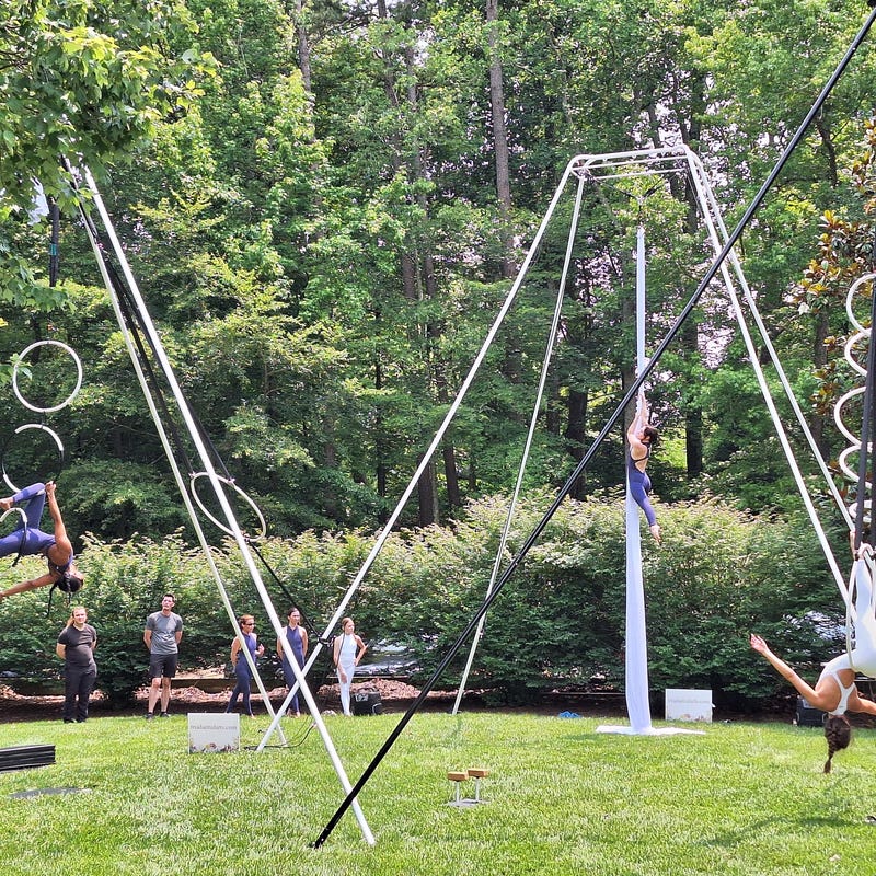 Aerial Trapeze Black - Etsy