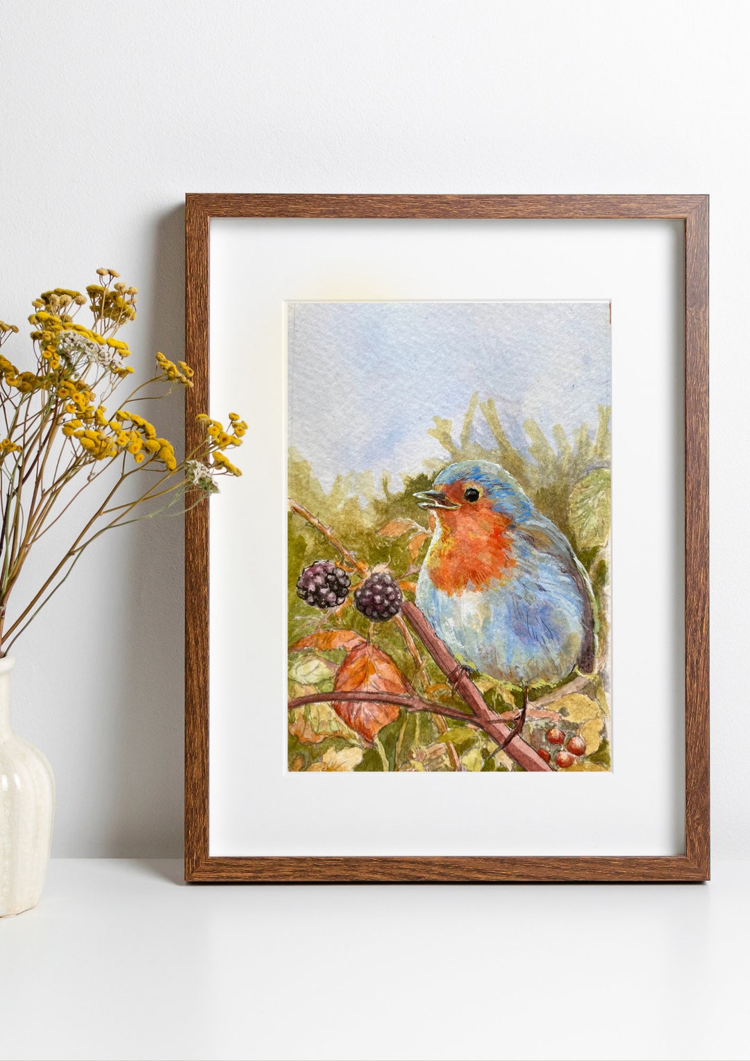 Robin Art Print - A4 - "hedgerow Robin" - From an Original Illustration ...