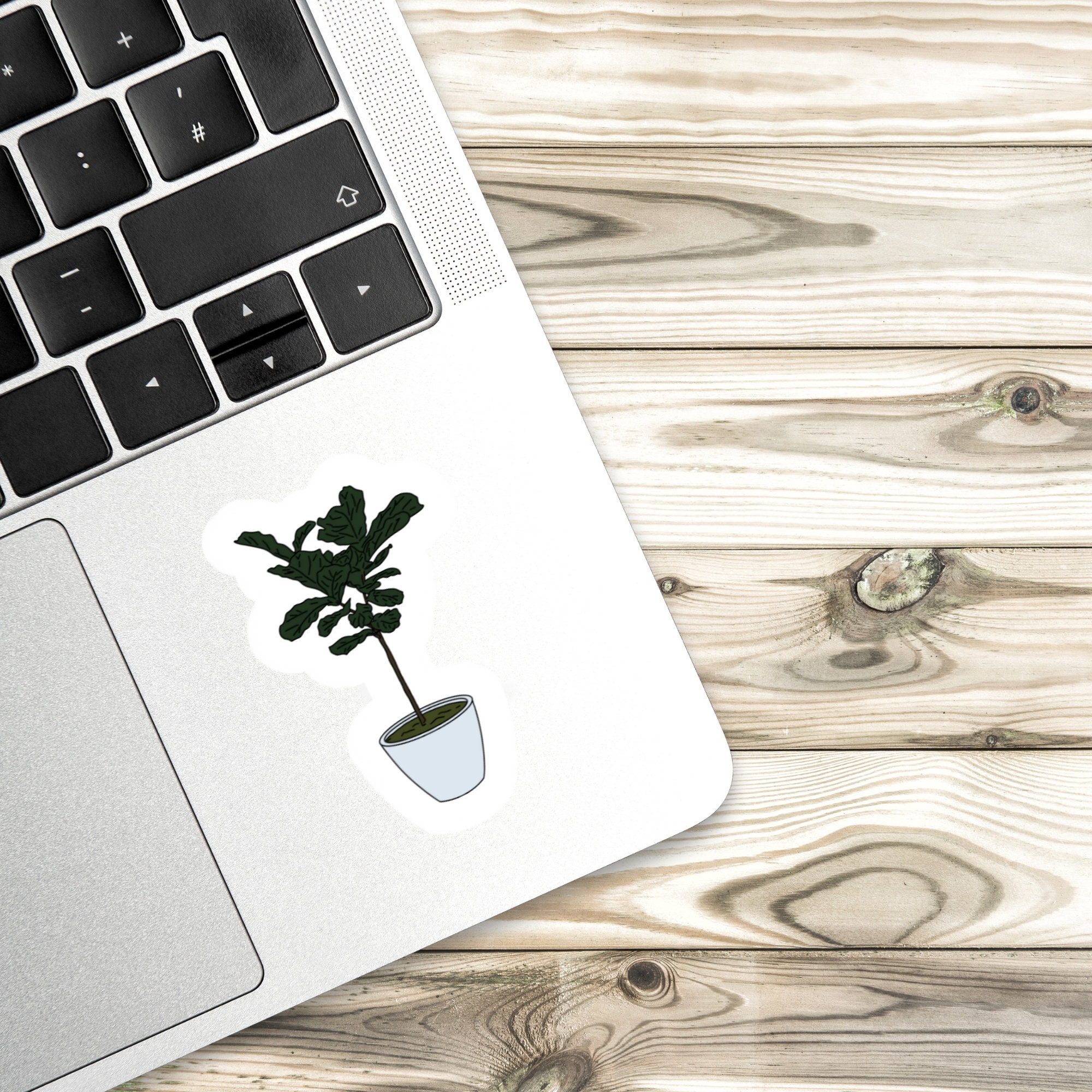 Fiddle Leaf Fig Plant Sticker, Plant Sticker, Sticker for Plant Mom ...