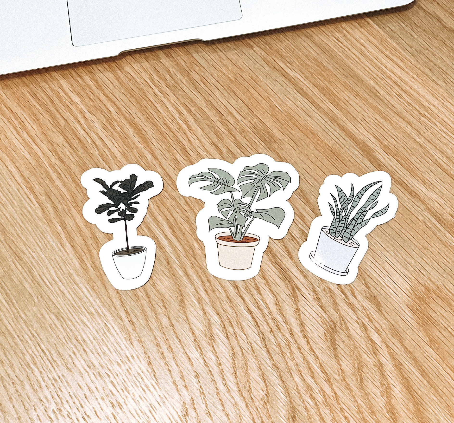 Fiddle Leaf Fig Plant Sticker Plant Sticker Sticker for - Etsy