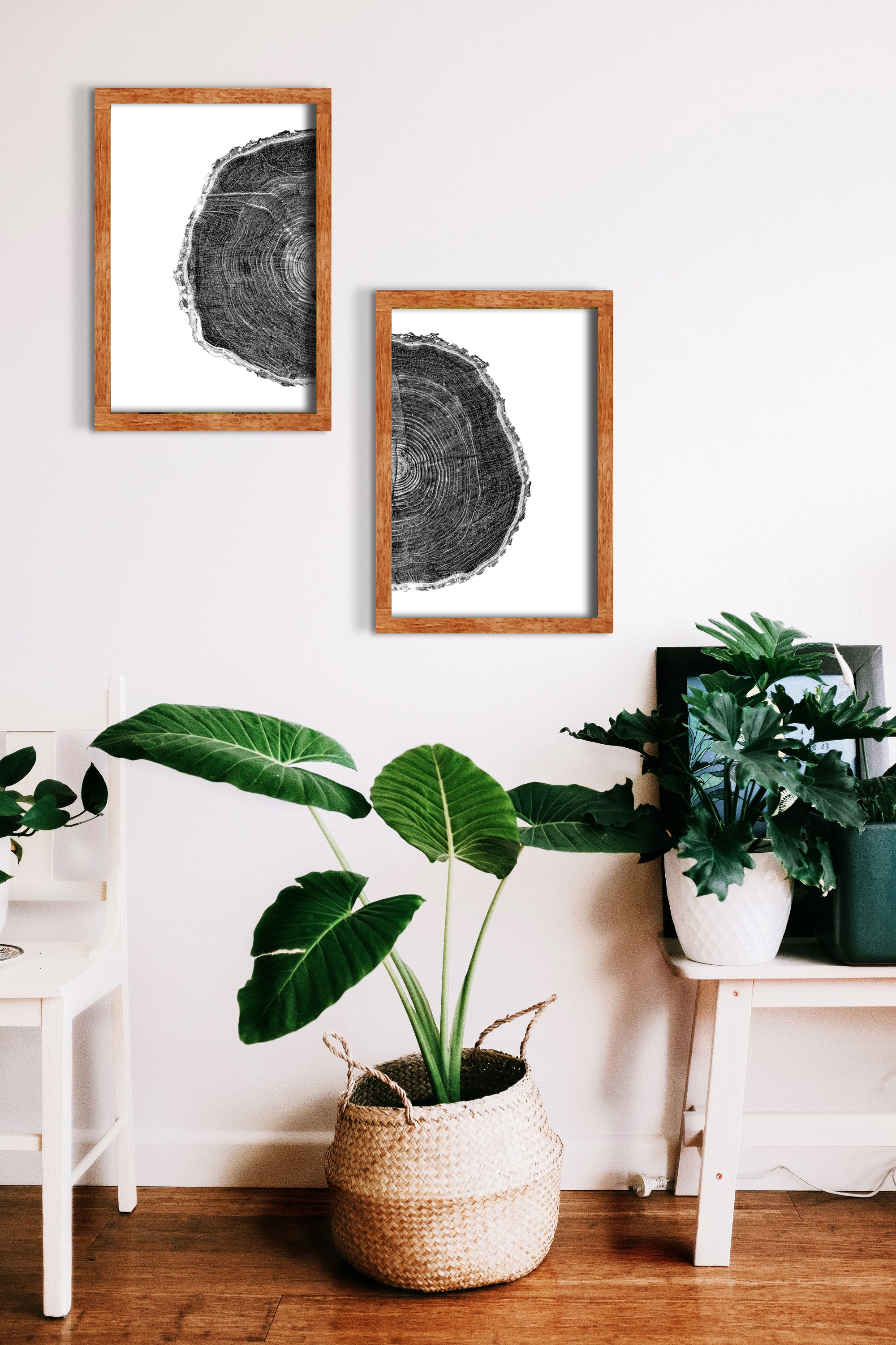 Tree Rings, Set of 2, Printable Wall Art, Log Rings, Black and White ...