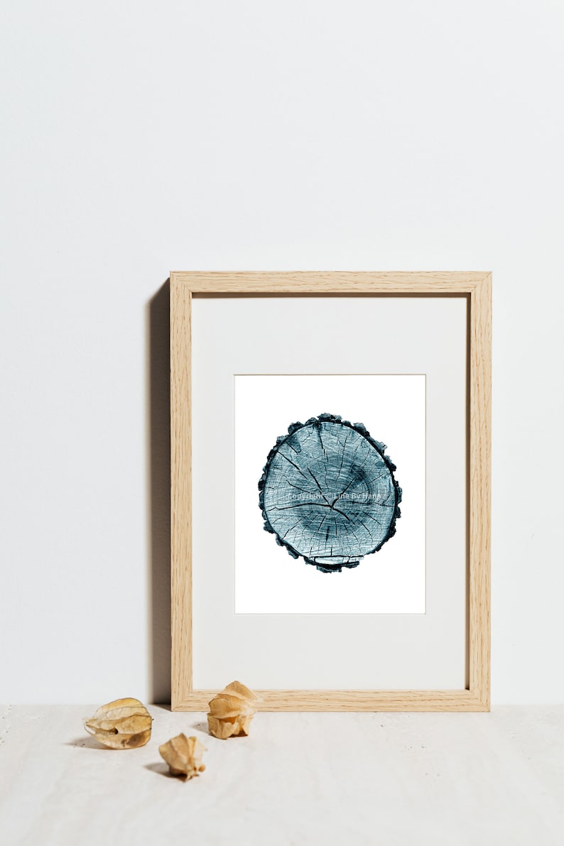 Tree Ring Art, Set of 3, 16X20, Tree Stump Print, Modern Wall Decor ...