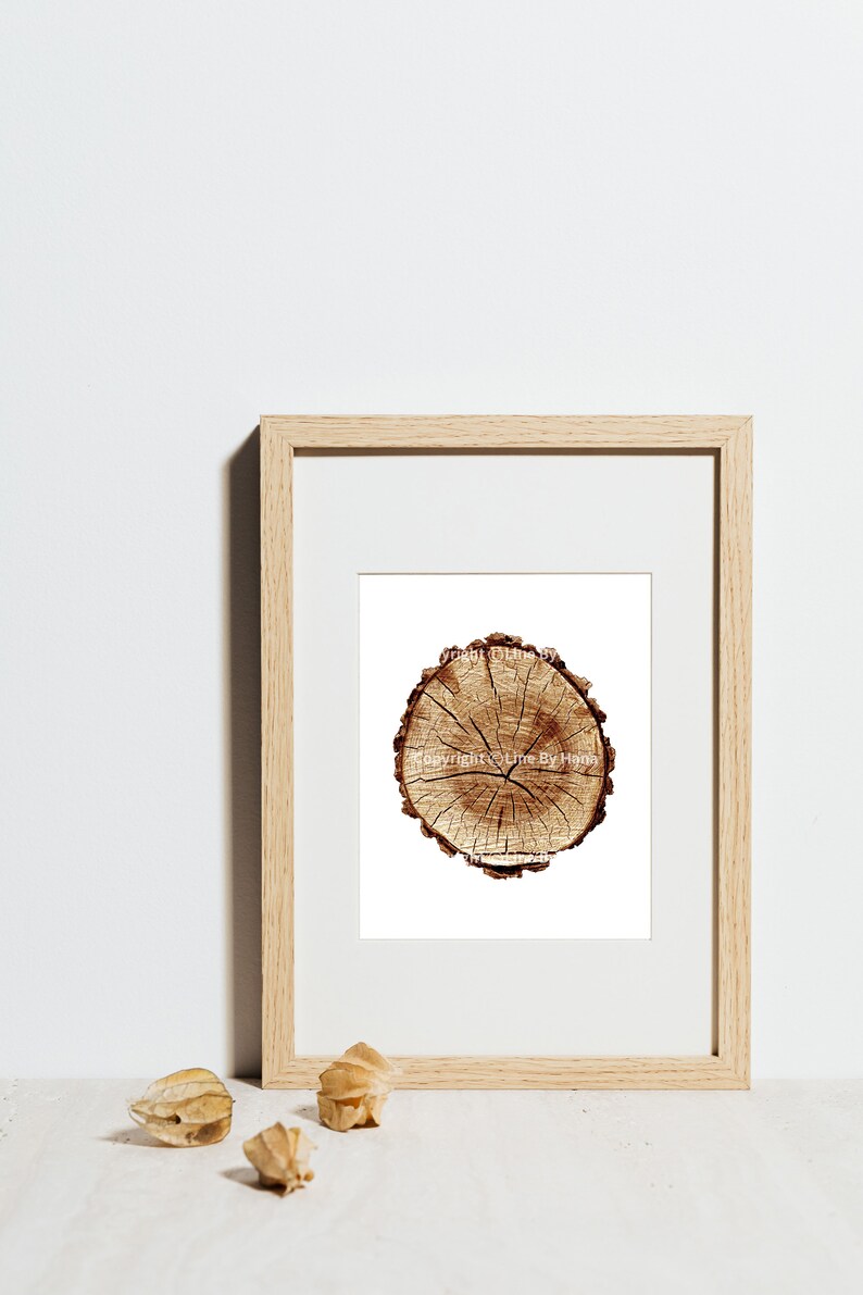 Tree Ring Wall Art, Set of 3, 16x20, Tree Stump Print, Modern Art, Tree ...
