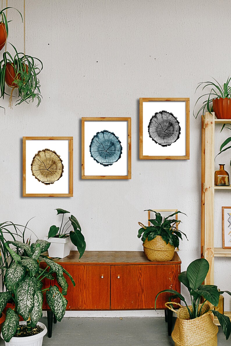 Tree Ring Art, Set of 3, 16X20, Tree Stump Print, Modern Wall Decor ...