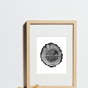 Tree Ring Art Set of 3 16X20 Tree Stump Print Modern Wall - Etsy
