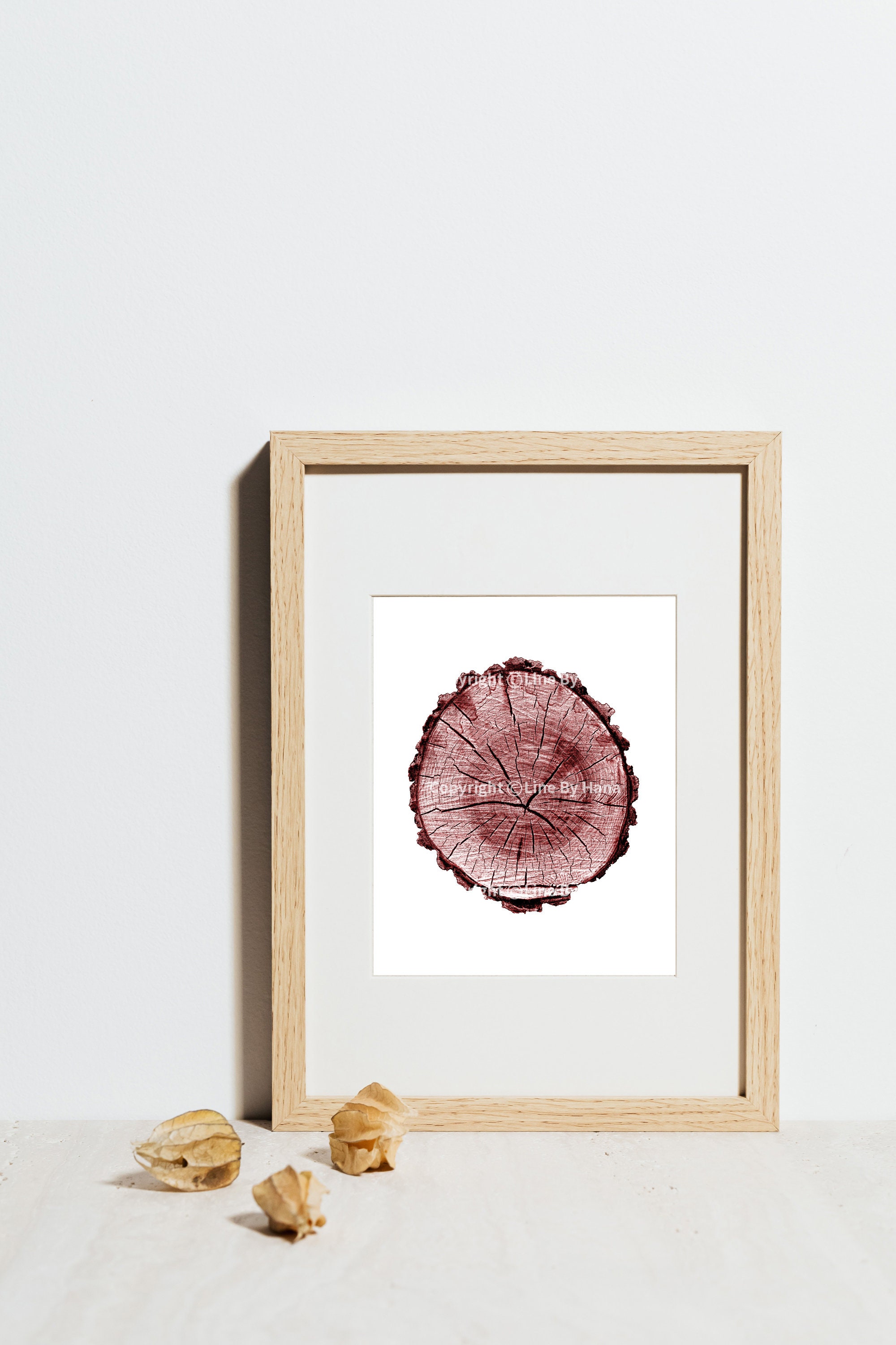 Tree Ring Wall Art, Set of 3, 16x20, Tree Stump Print, Modern Art, Tree ...