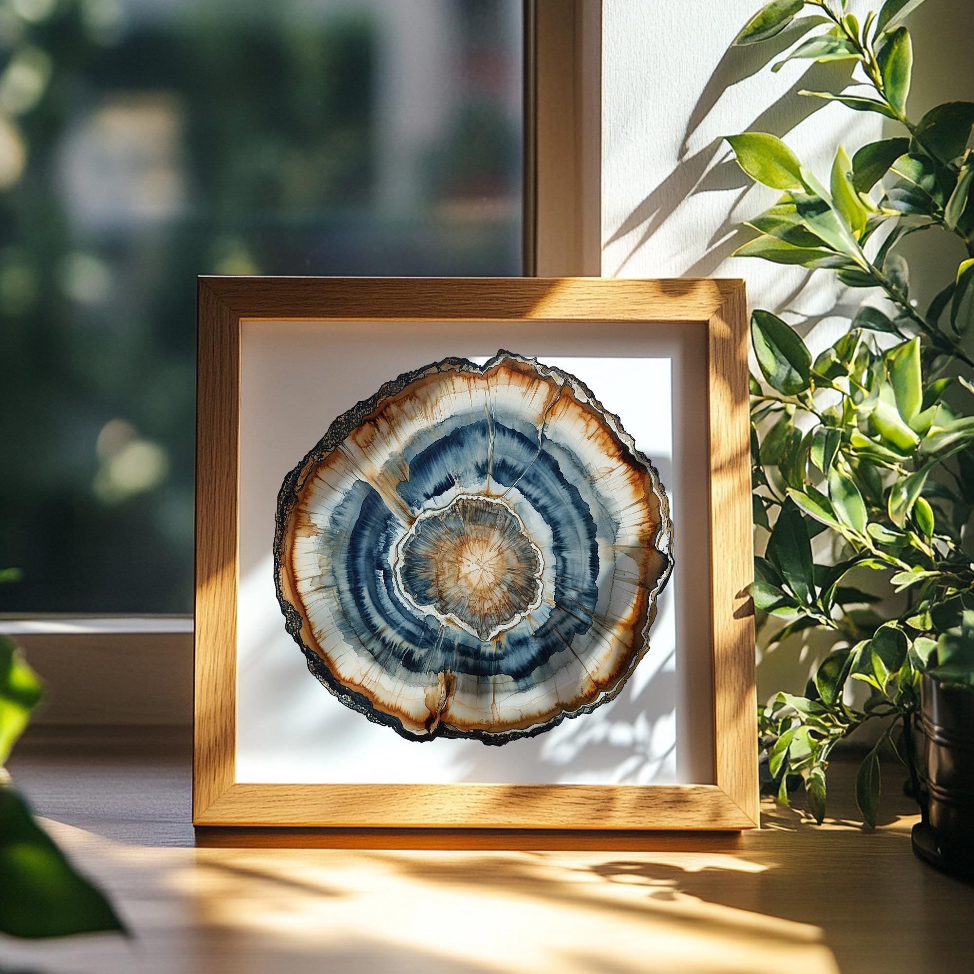 Tree Ring Art Print, Set of 4, Tree Ring Art, Tree Ring Print ...