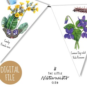 Complete Garden Unit Study, Garden Learning Pack, Gardening Printables ...