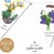Complete Garden Unit Study, Garden Learning Pack, Gardening Printables ...