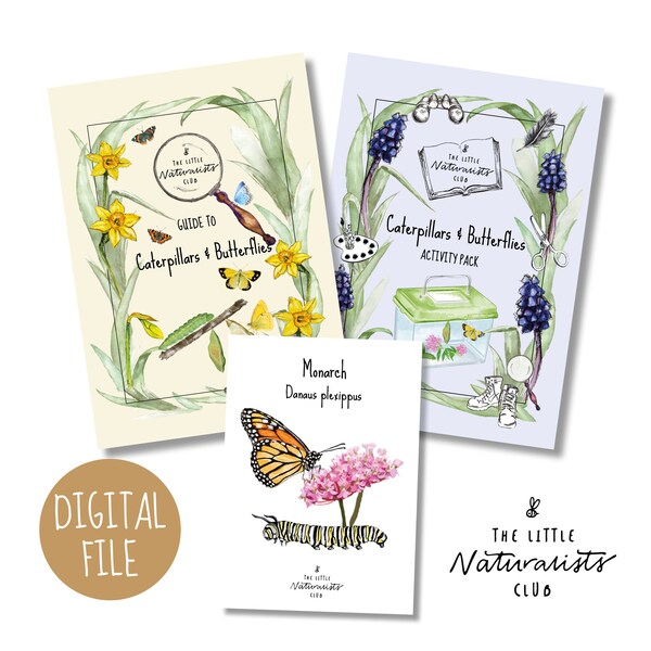 Spring Unit Study - Etsy