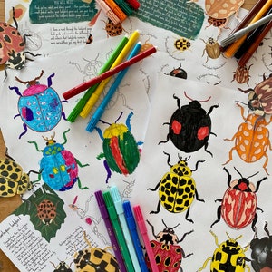 Complete Beetle Unit Study, Spring Learning Pack, Homeschool Bundle ...