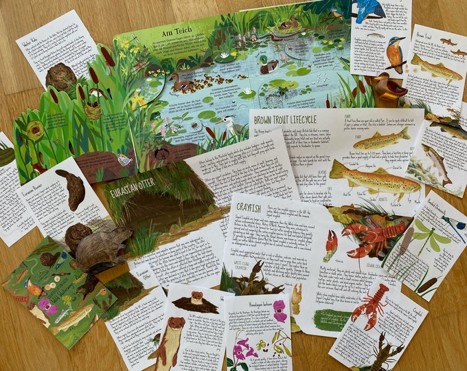 Complete Rivers Unit Study, Waterways Homeschool, Summer Learning Pack ...
