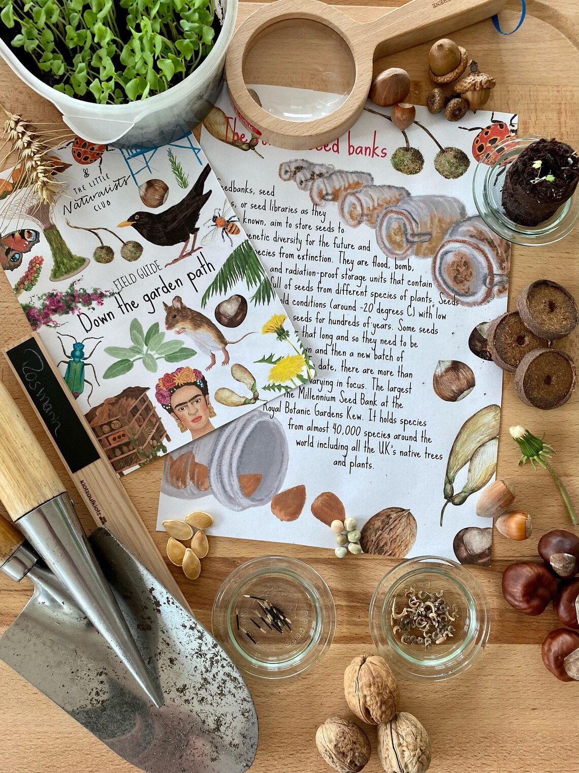 Complete Garden Unit Study Garden Learning Pack Gardening - Etsy