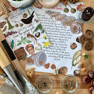 Complete Garden Unit Study, Garden Learning Pack, Gardening Printables ...