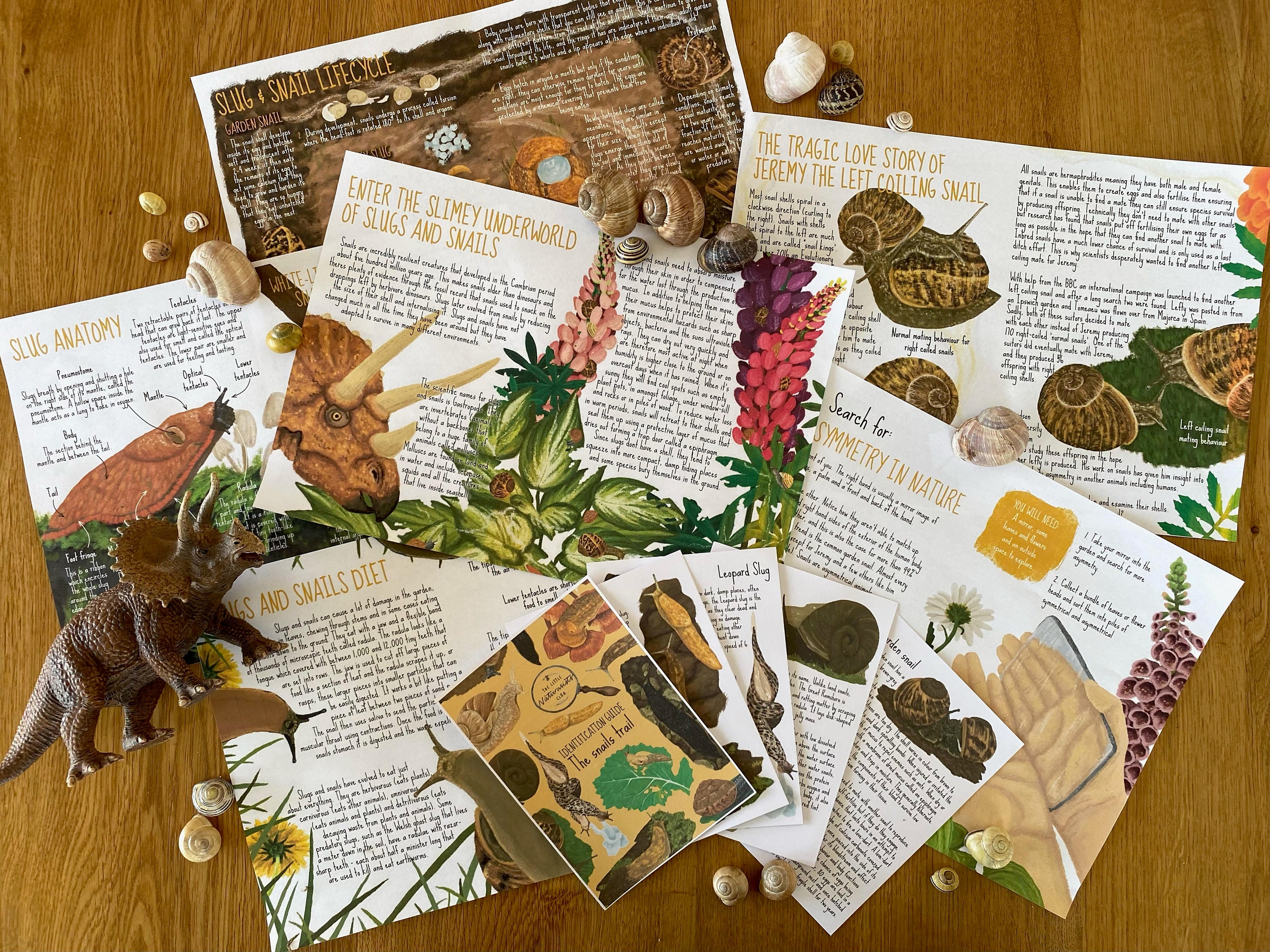 Complete Slugs and Snail Study Unit, Summer Learning Pack, Homeschool ...