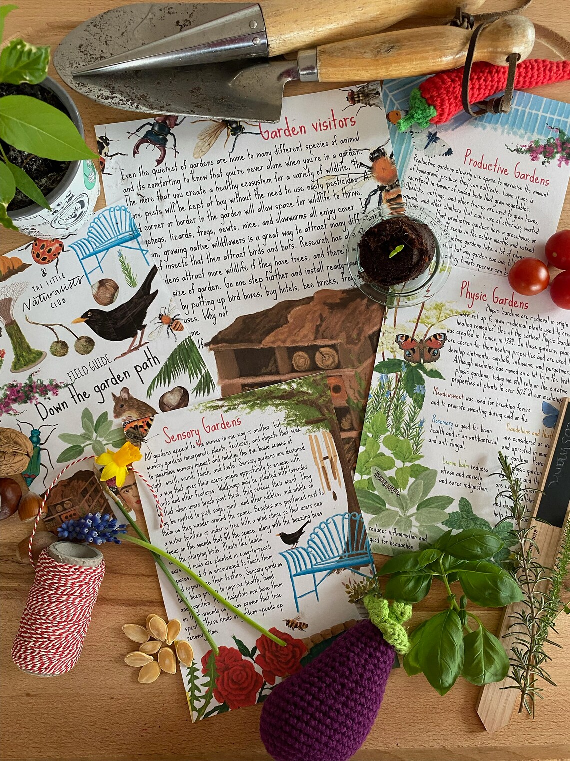 Complete Garden Unit Study Garden Learning Pack Gardening - Etsy