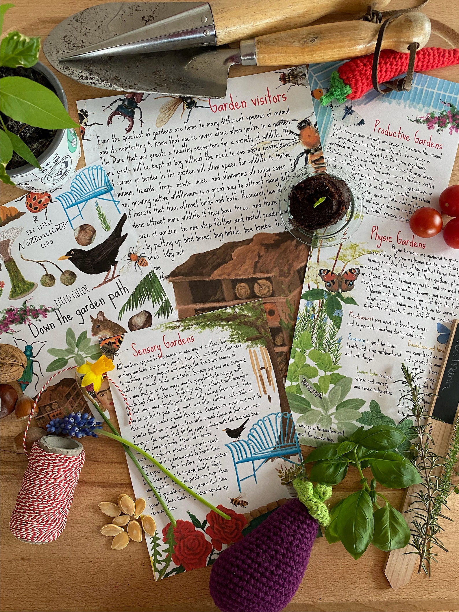 Complete Garden Unit Study, Garden Learning Pack, Gardening Printables ...